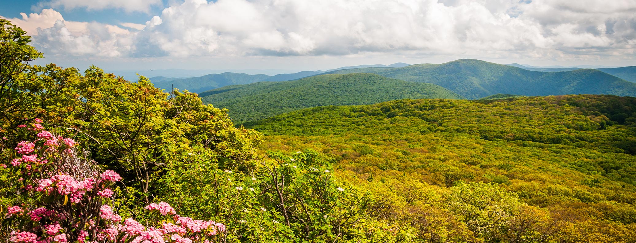 Our new name, Laurel Ridge ‣ Laurel Ridge Community College